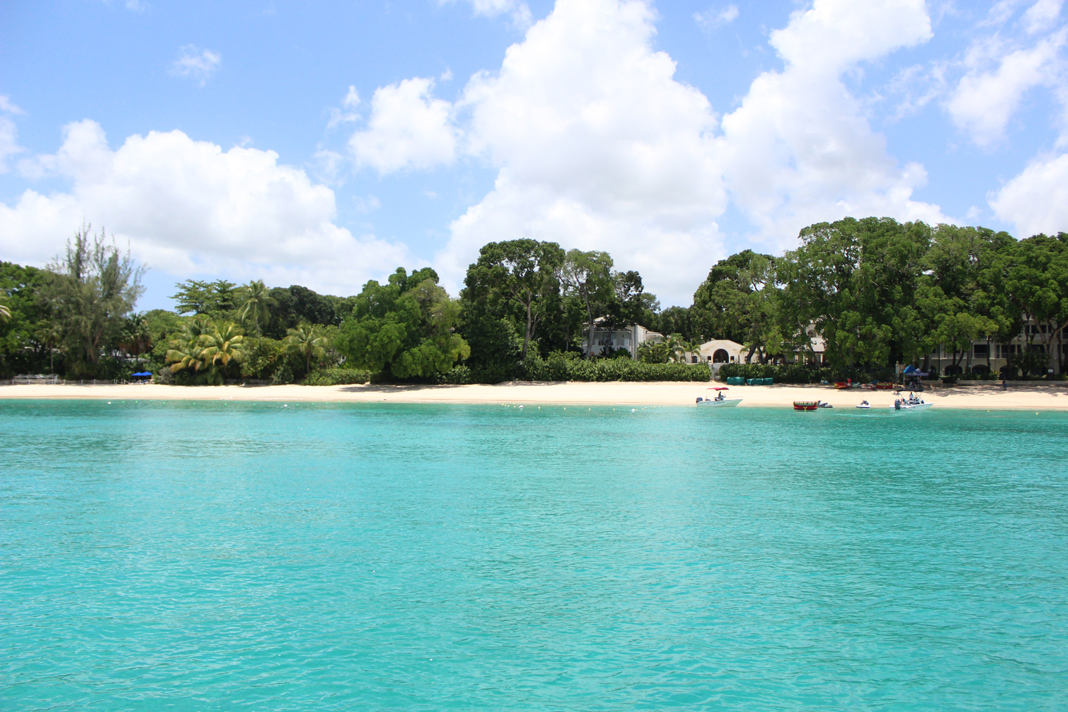 Veja o guia completo de Barbados, paraíso no Caribe - Trip to Follow