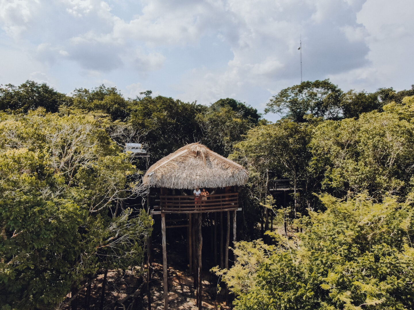 Juma Amazon Lodge: como é se hospedar na selva amazônica - Trip to Follow