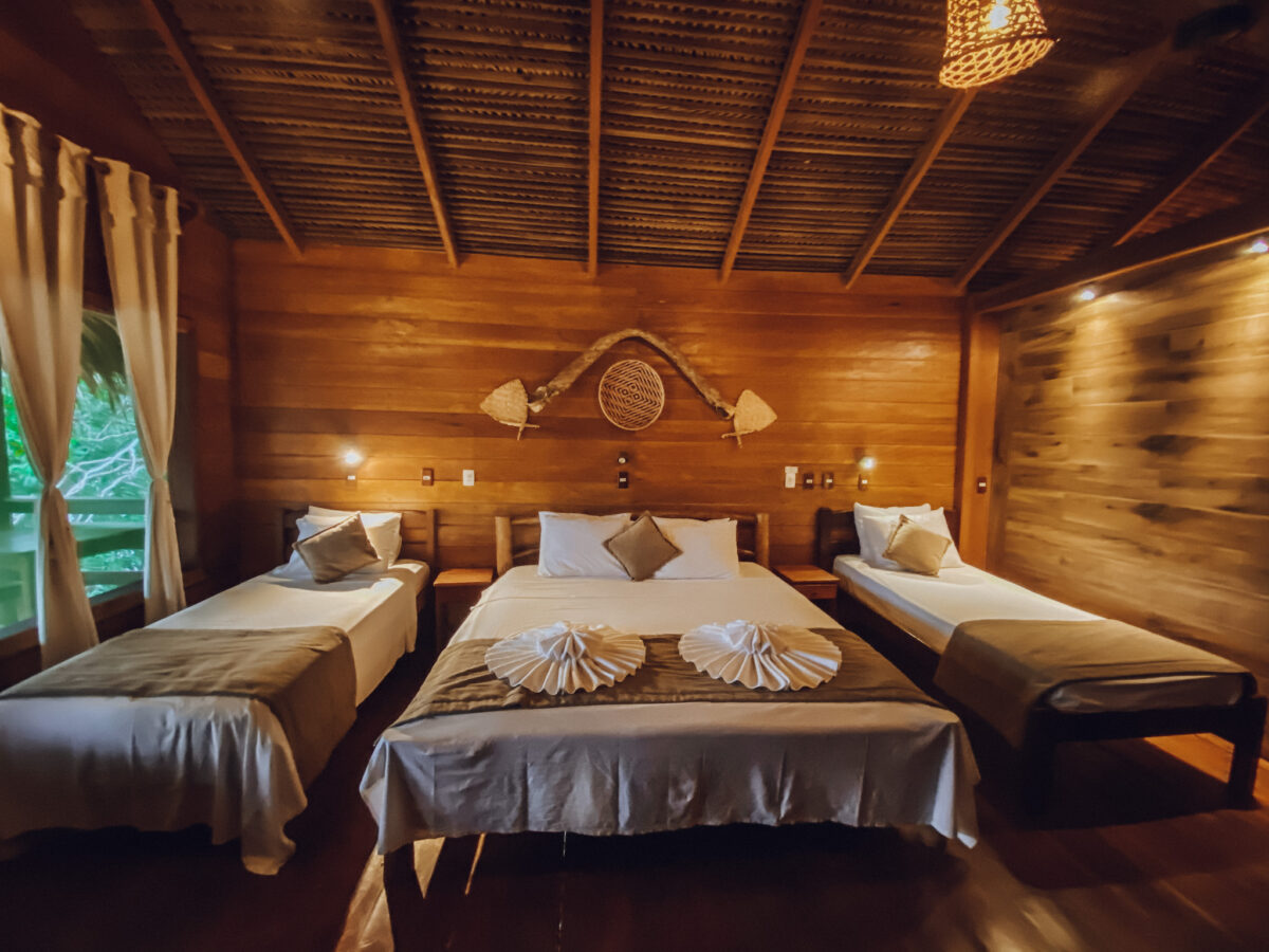 Juma Amazon Lodge: como é se hospedar na selva amazônica - Trip to Follow